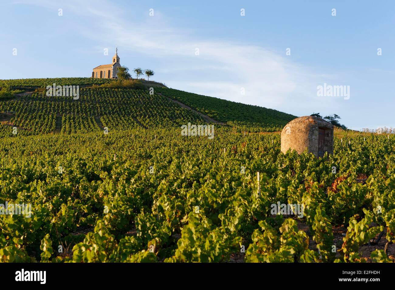 France, Rhone, Madone chapel, Fleurie village, Fleurie AOC Beaujolais ...