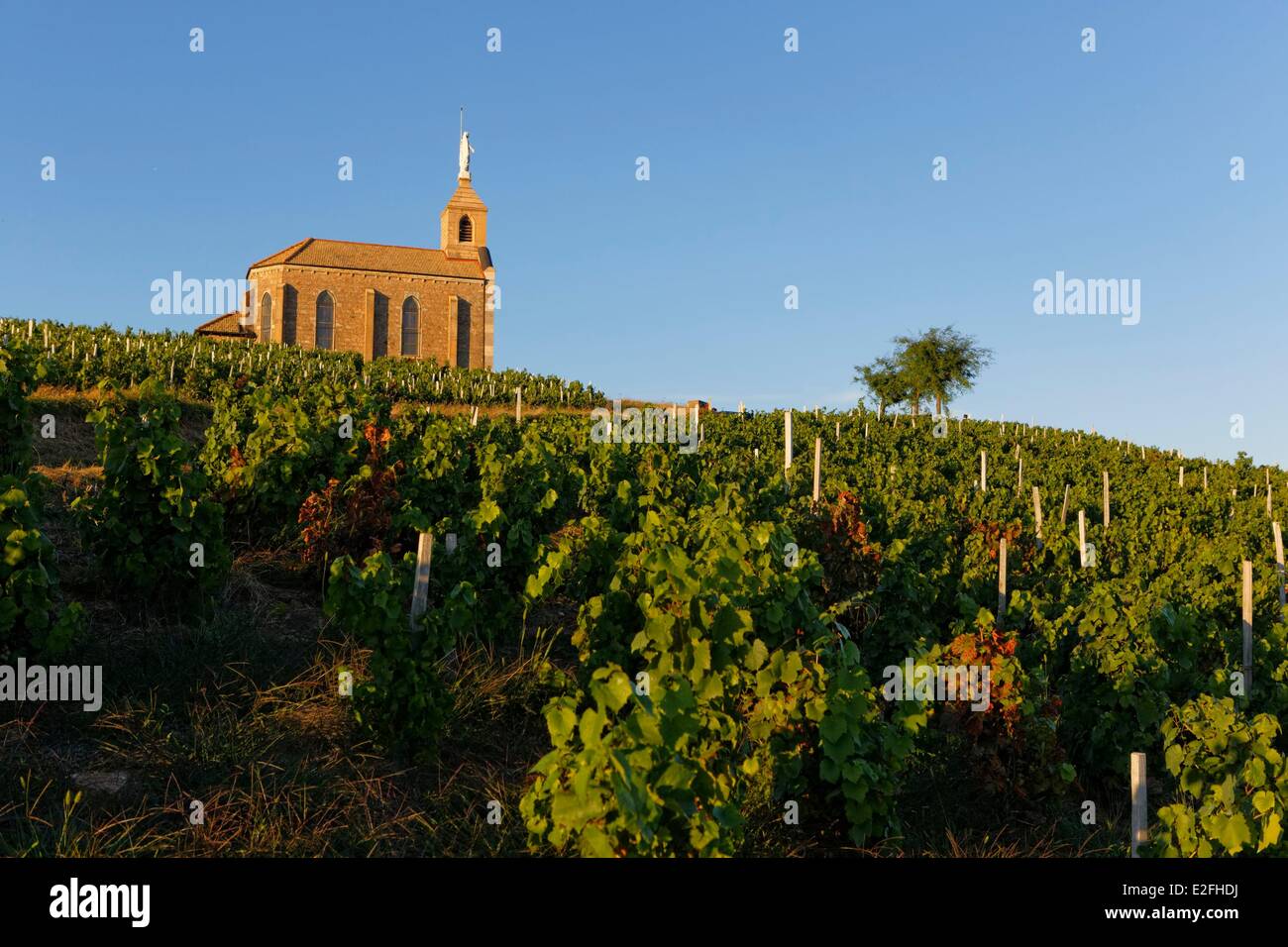 France, Rhone, Madone chapel, Fleurie village, Fleurie AOC Beaujolais ...