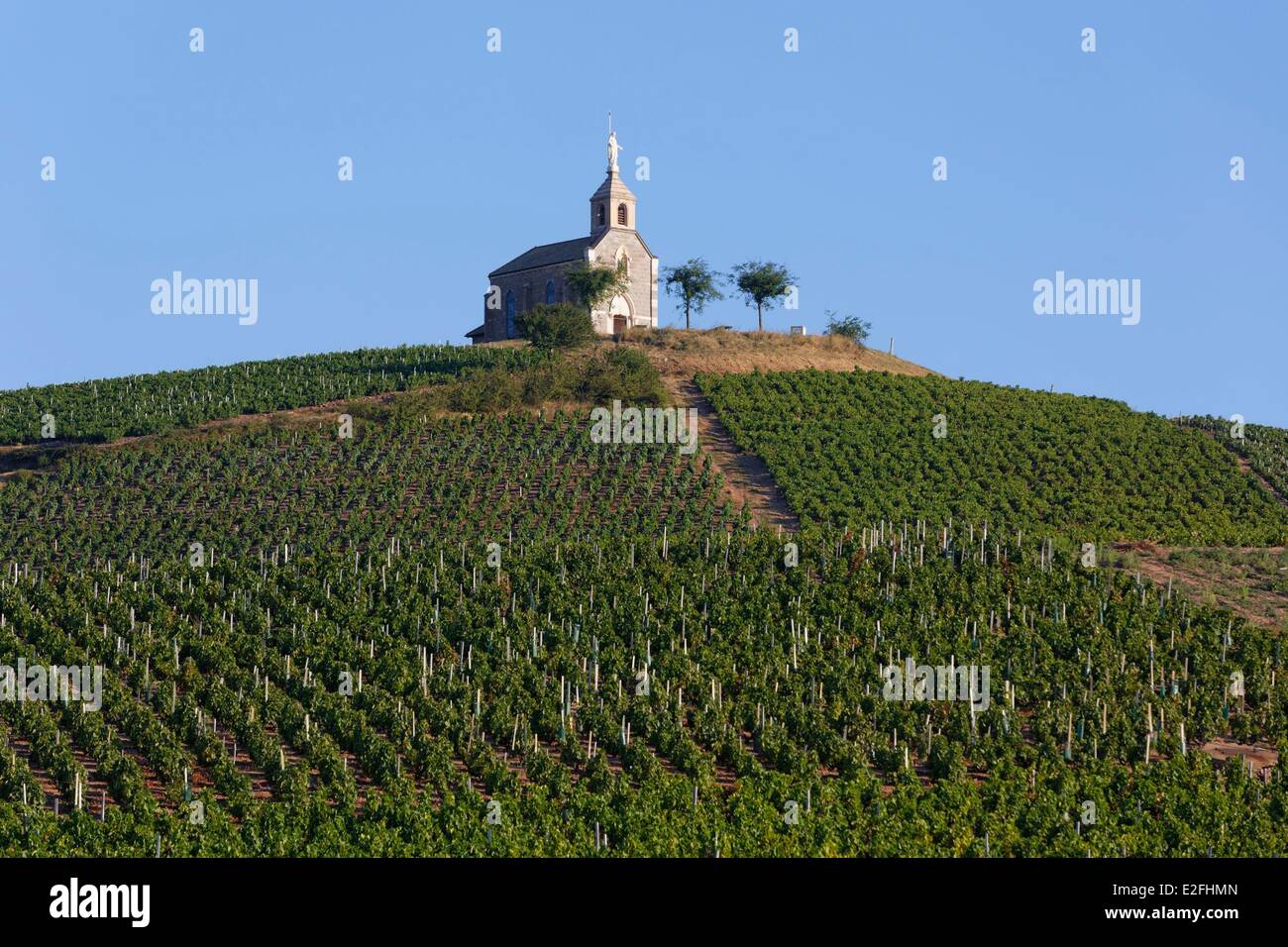 Fleurie aoc hi-res stock photography and images - Alamy