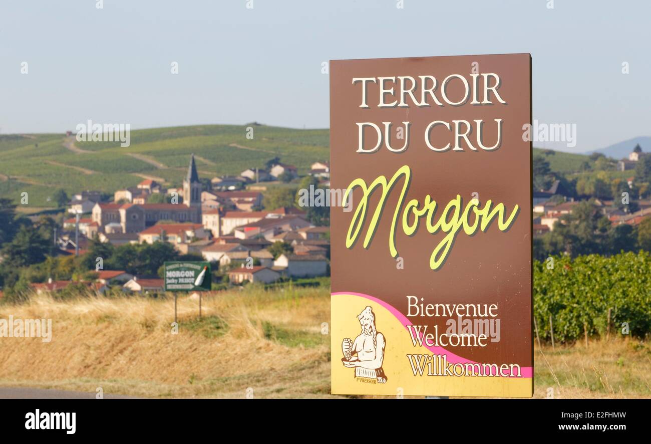 France, Rhone, Villie Morgon village, Morgon AOC Beaujolais vineyard ...