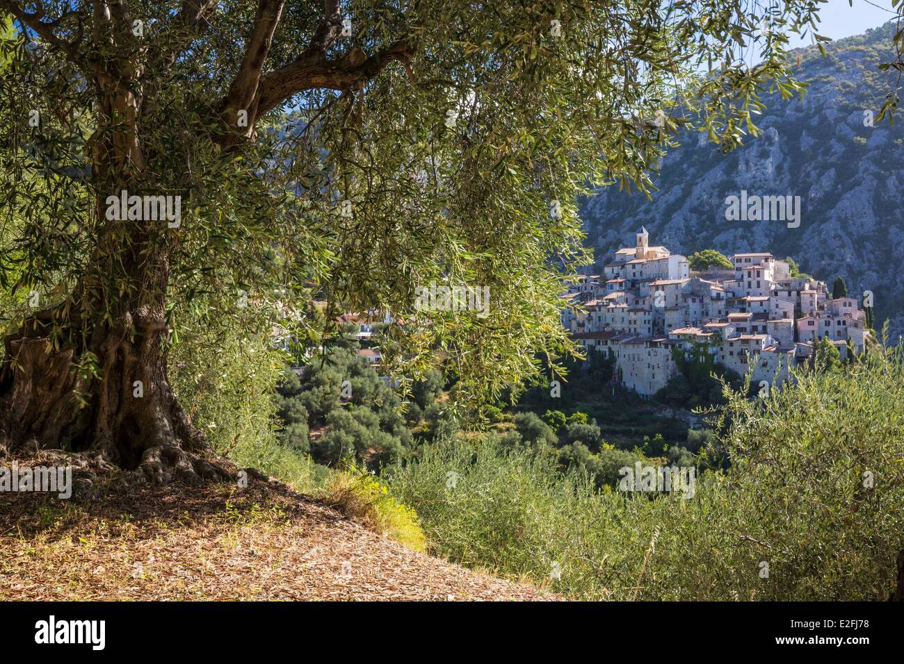 Village Peillon High Resolution Stock Photography and Images - Alamy