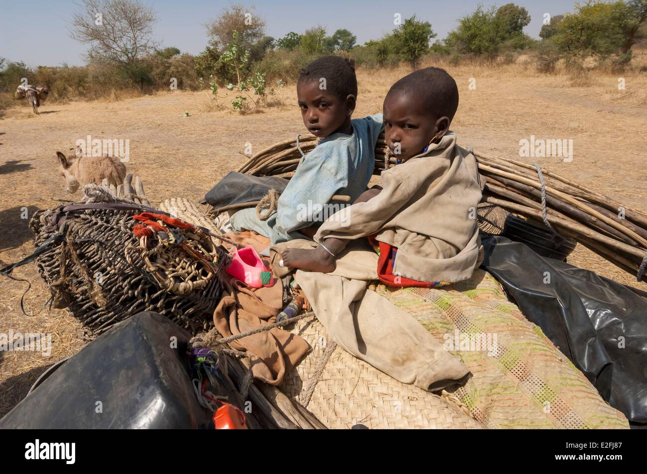 Chad, Sahel, Loumia savannah, migration of the Fulani or Foulbe nomads ...