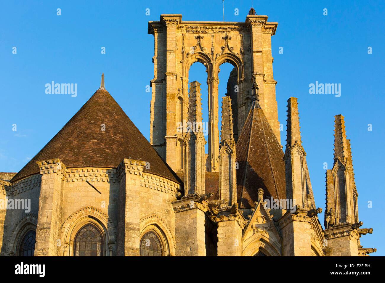 France, Seine et Marne, parc regional du Gatinais, Larchant, basilica ...