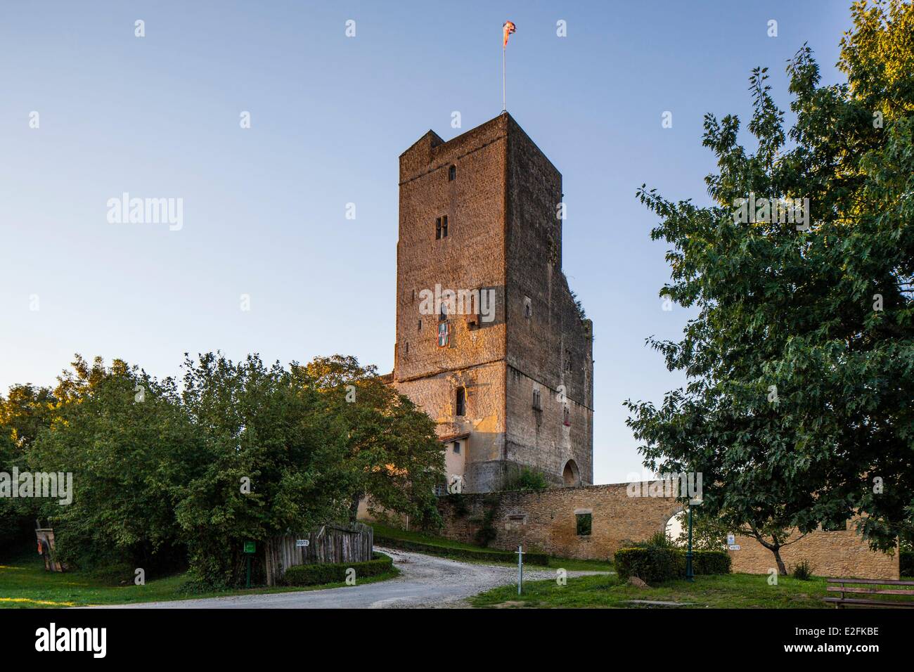 France, Gers, Termes d'Armagnac Tower, the only vestige of Thibault de ...