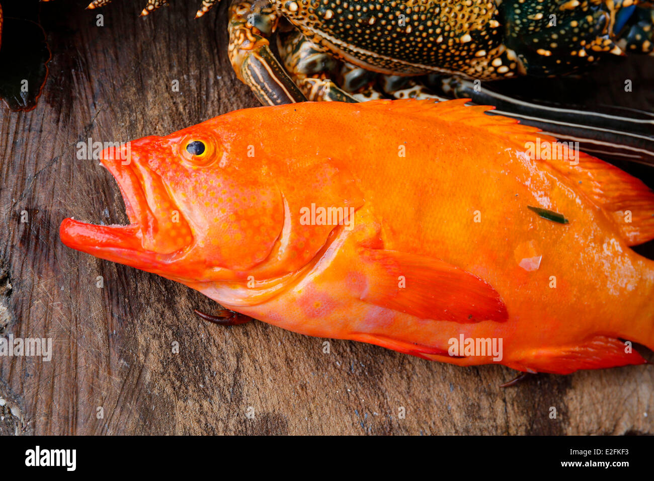 Bouillon Poisson Vieille Rouge at Robert Keck blog