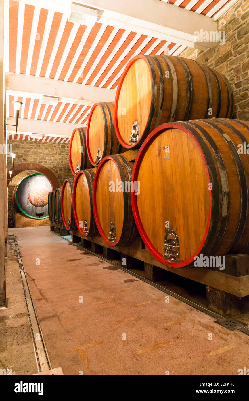 Slovenia Koper the vinakoper cellars Stock Photo - Alamy