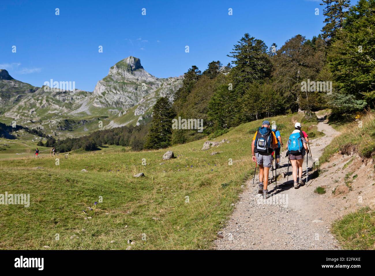 France, Pyrenees Atlantiques,hiking in the Pyrenees, around the Ayous ...