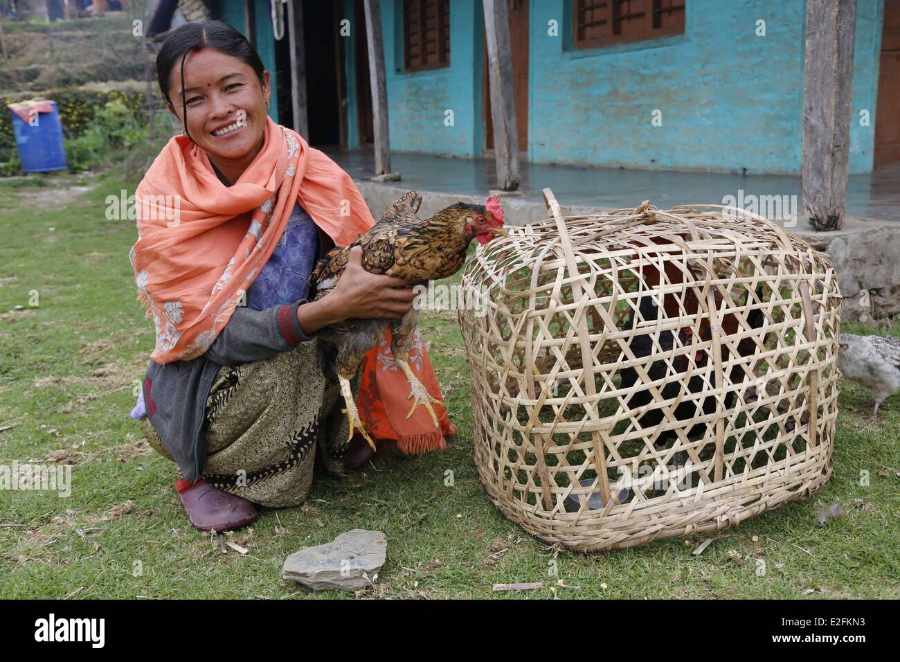 Nepal Gandaki Zone Pokhara area Pouderkot Mrs Maya and her roaster ...