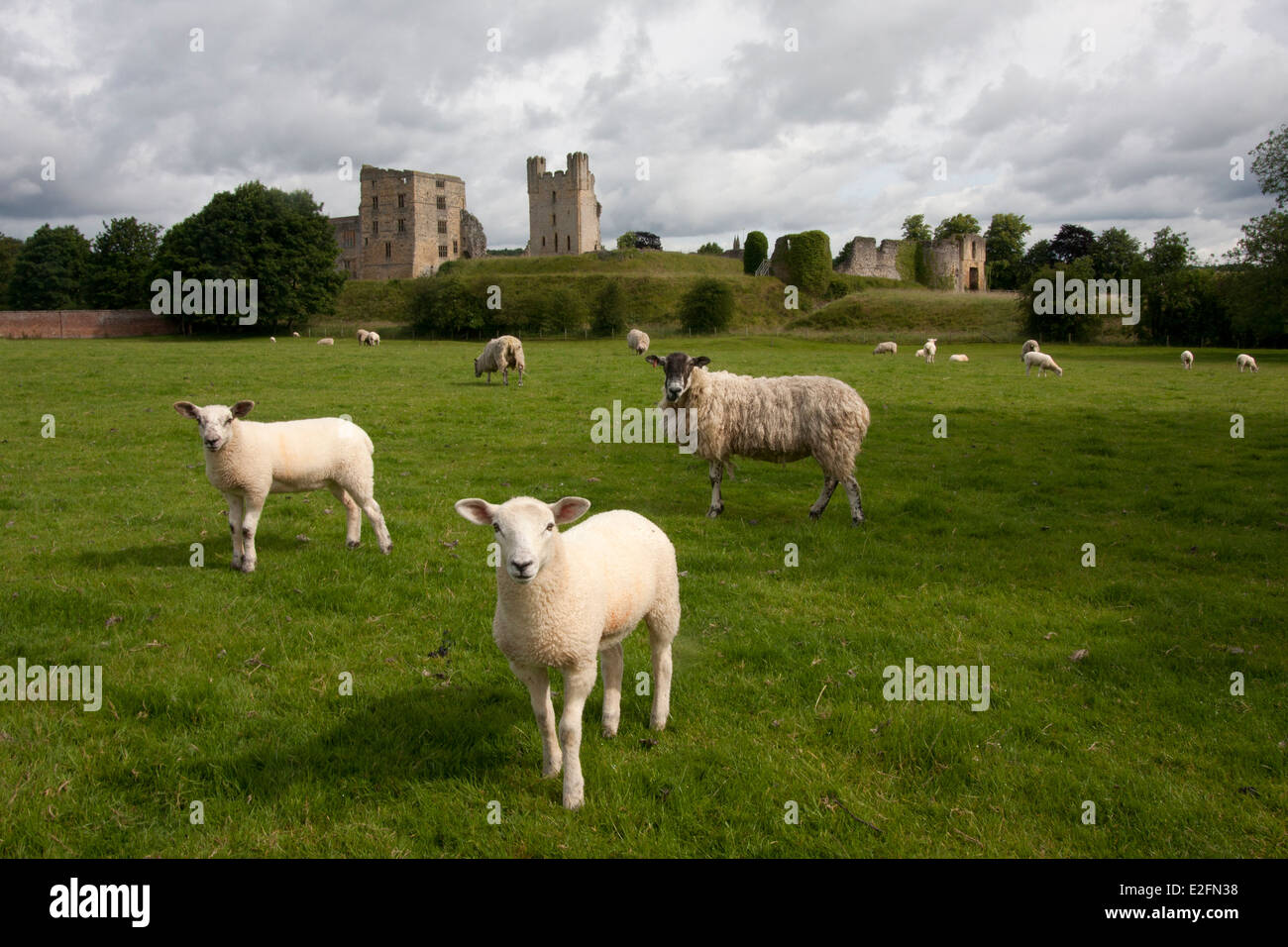 Travel helmsley england hi-res stock photography and images - Alamy