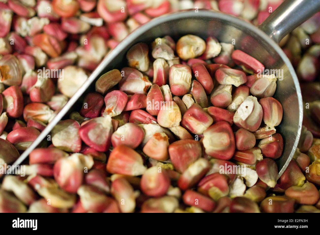 Starch grain hi-res stock photography and images - Alamy