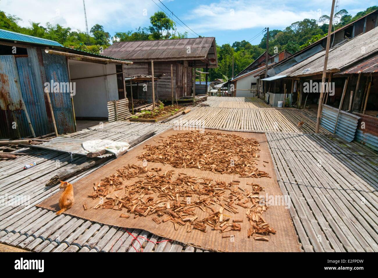 Annah rais bidayuh longhouse kuching hi-res stock photography and ...
