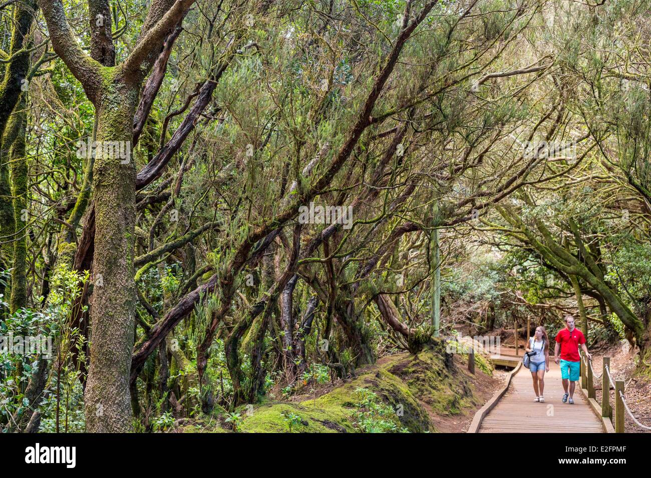 Spain Canary Islands Tenerife Island Anaga Rural Park Cruz Carmen ...
