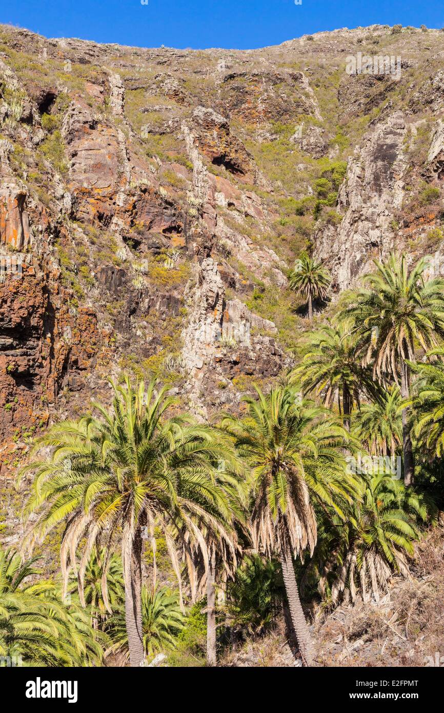 Spain Canary Islands Tenerife Island Los Silos Stock Photo - Alamy