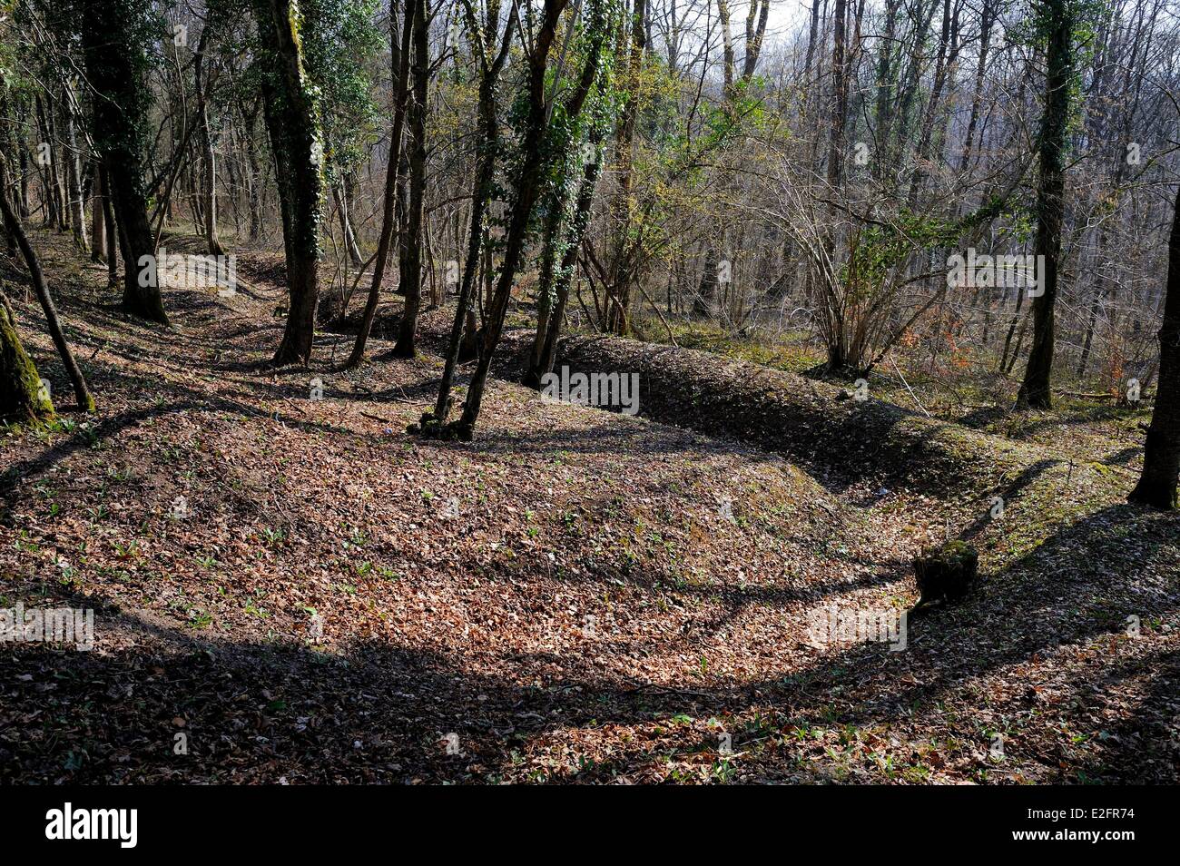France Meuse Verdun area trenches marks around the Fort Souville Stock ...