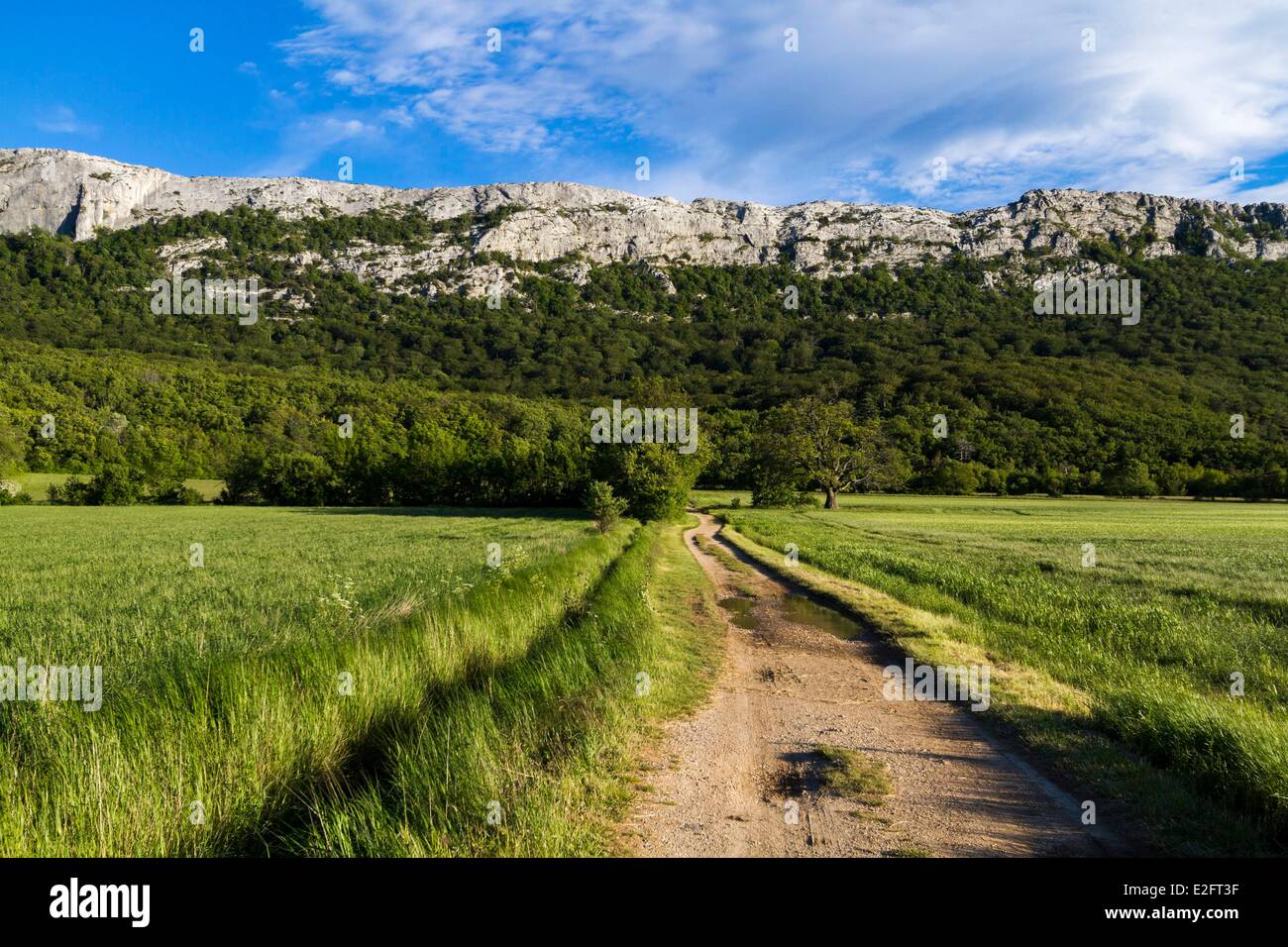 France Var Plan d'Aups Sainte Baume north hillside of massif of Sainte Baume Stock Photo - Alamy