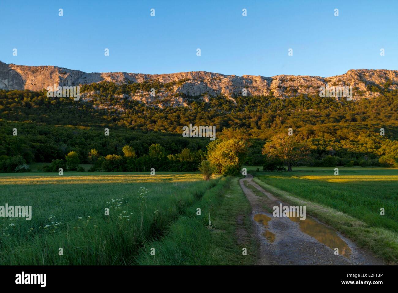 France Var Plan d'Aups Sainte Baume north hillside of massif of Sainte ...