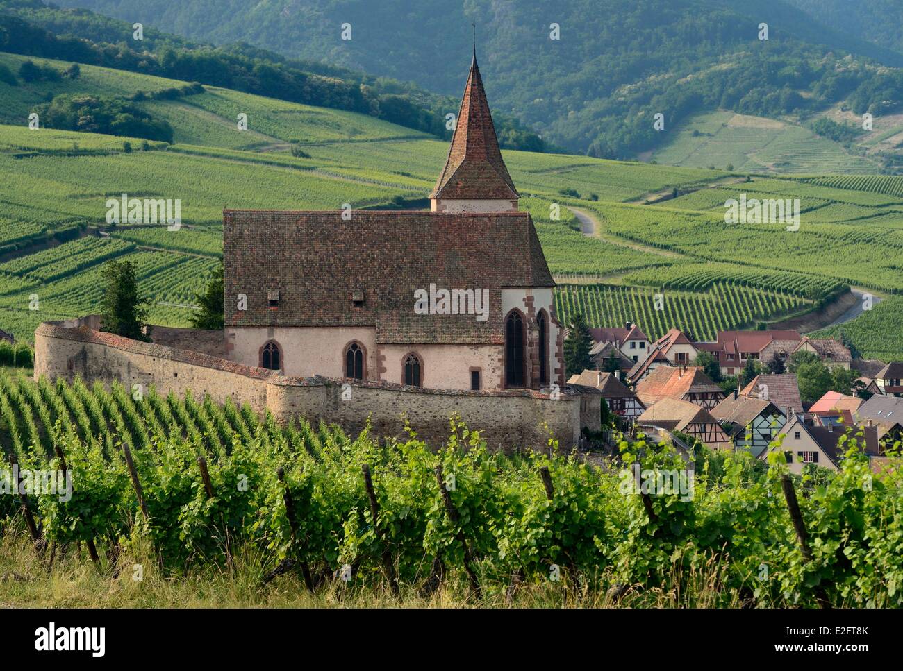 France Haut Rhin the Alsace Wine Route Hunawihr labelled Les Plus Beaux ...