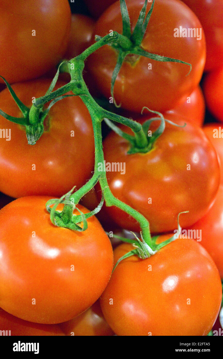 Bright red tomatos hi-res stock photography and images - Alamy