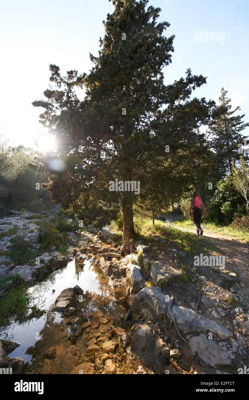 France Aude Gruissan the Clape massif. the Goutine towards the hole ...