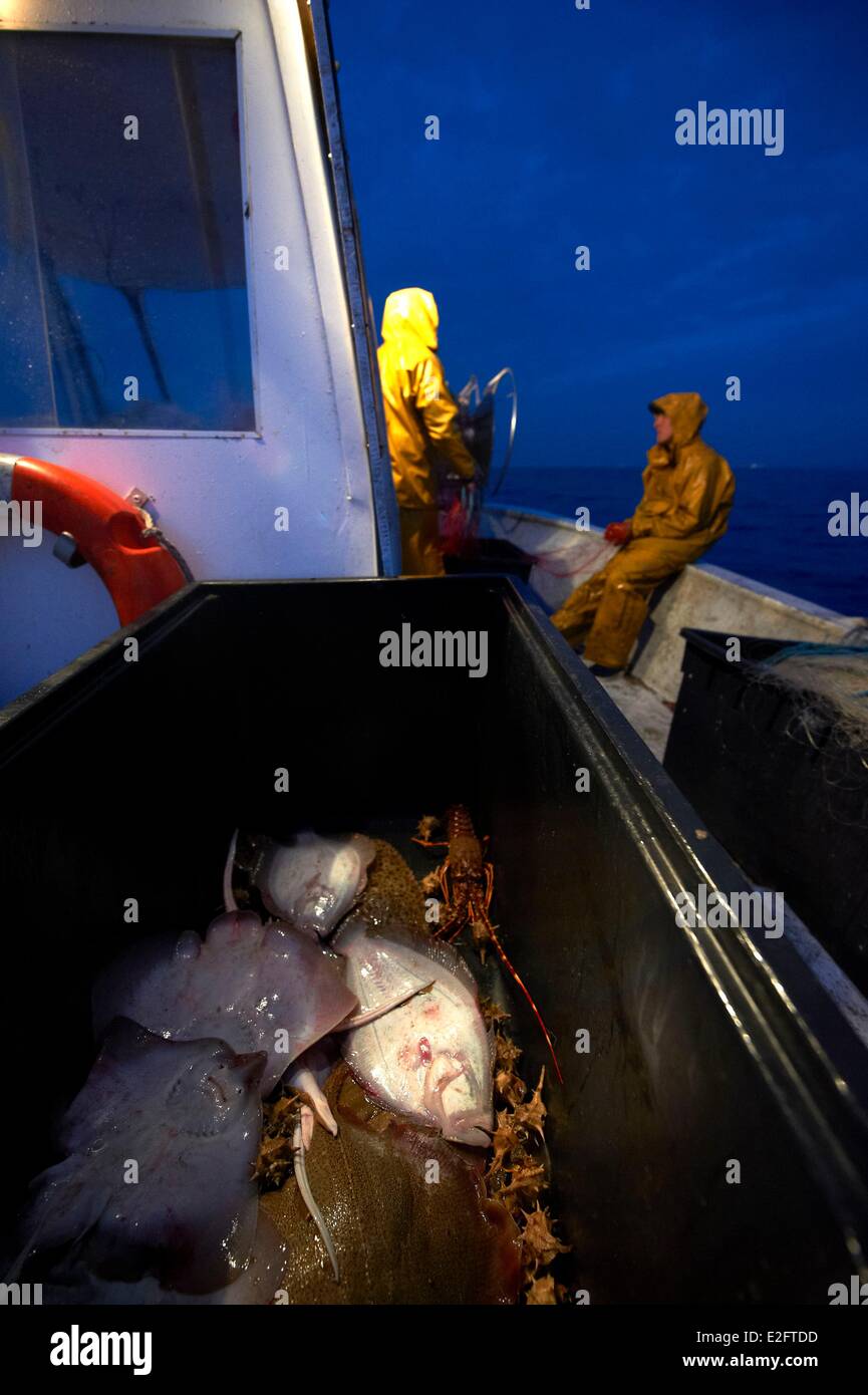 ángulo vertical hi-res stock photography and images - Alamy