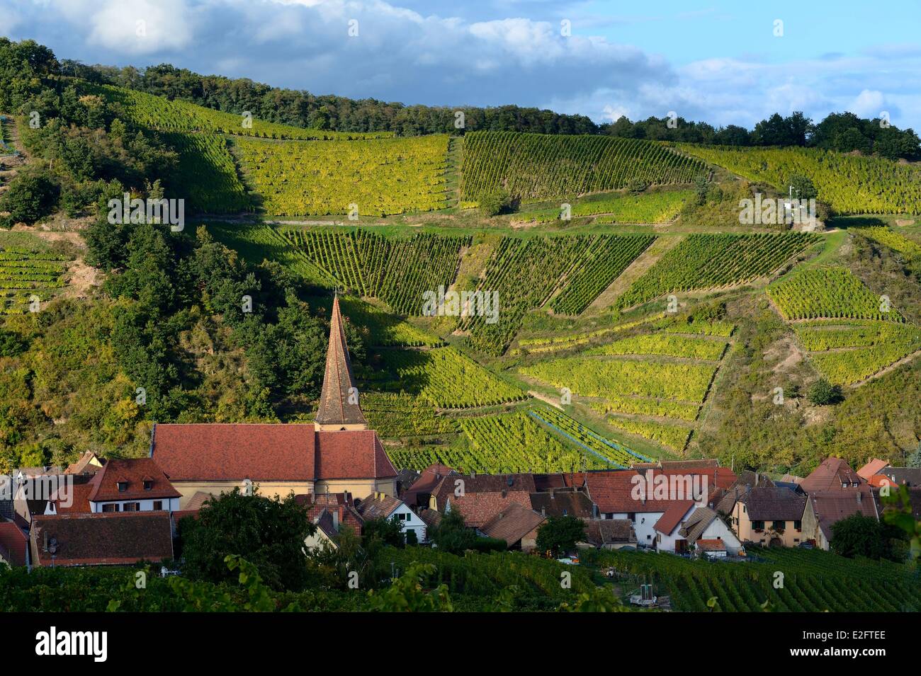 France Haut Rhin the Alsace Wine Route Niedermorschwihr the village in ...