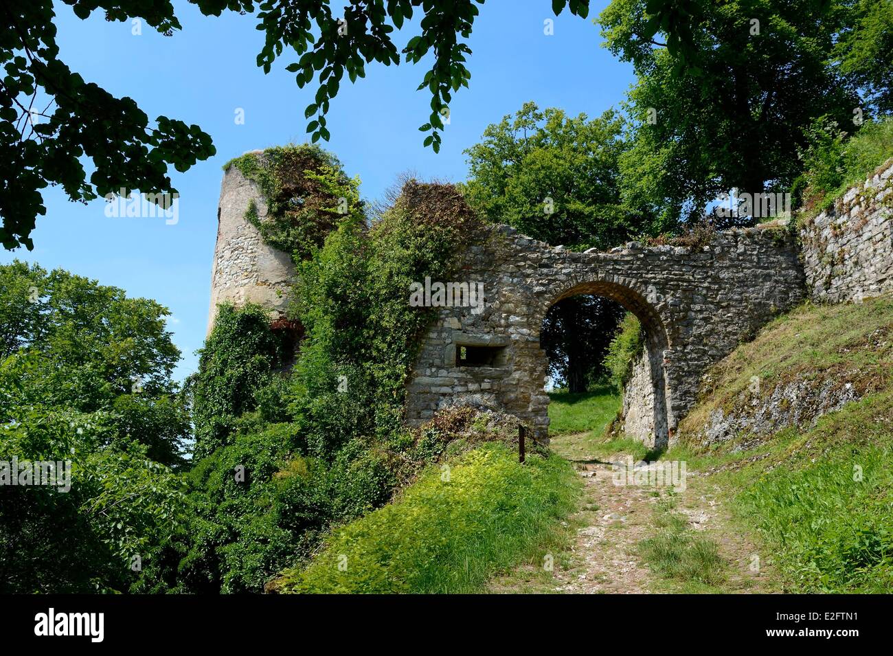 France Haut Rhin Sundgau Ferrette ruins of the castle Stock Photo - Alamy