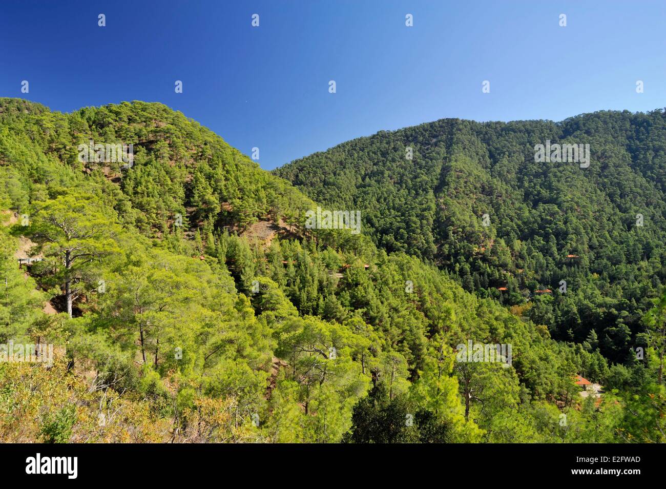 Paphos forest hi-res stock photography and images - Alamy