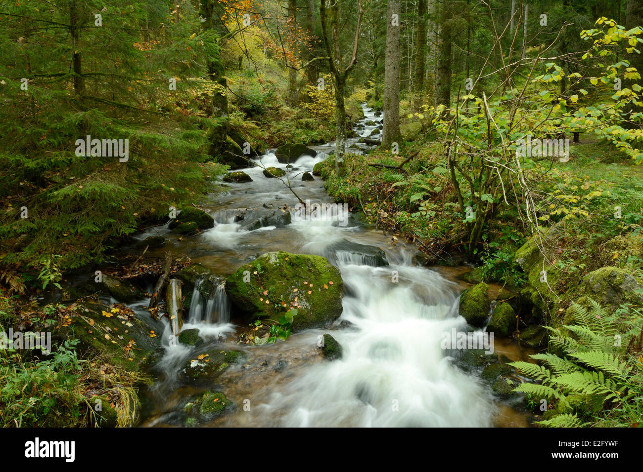 France Vosges Ban sur Meurthe Defile de Straiture Petite Meurthe river ...