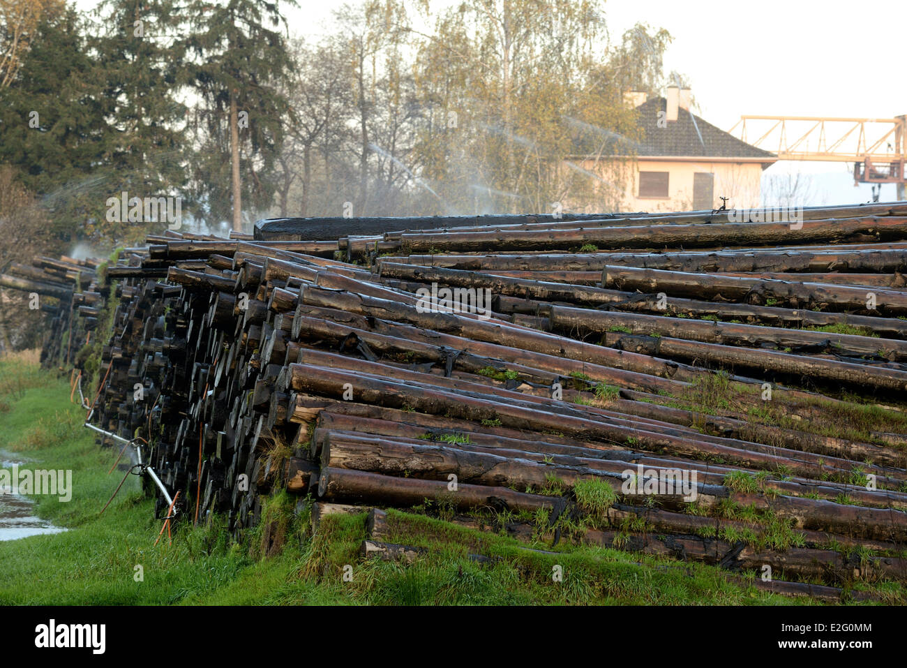 France Bas Rhin Urmatt sawmill Siat Braun spraying softwood logs for ...