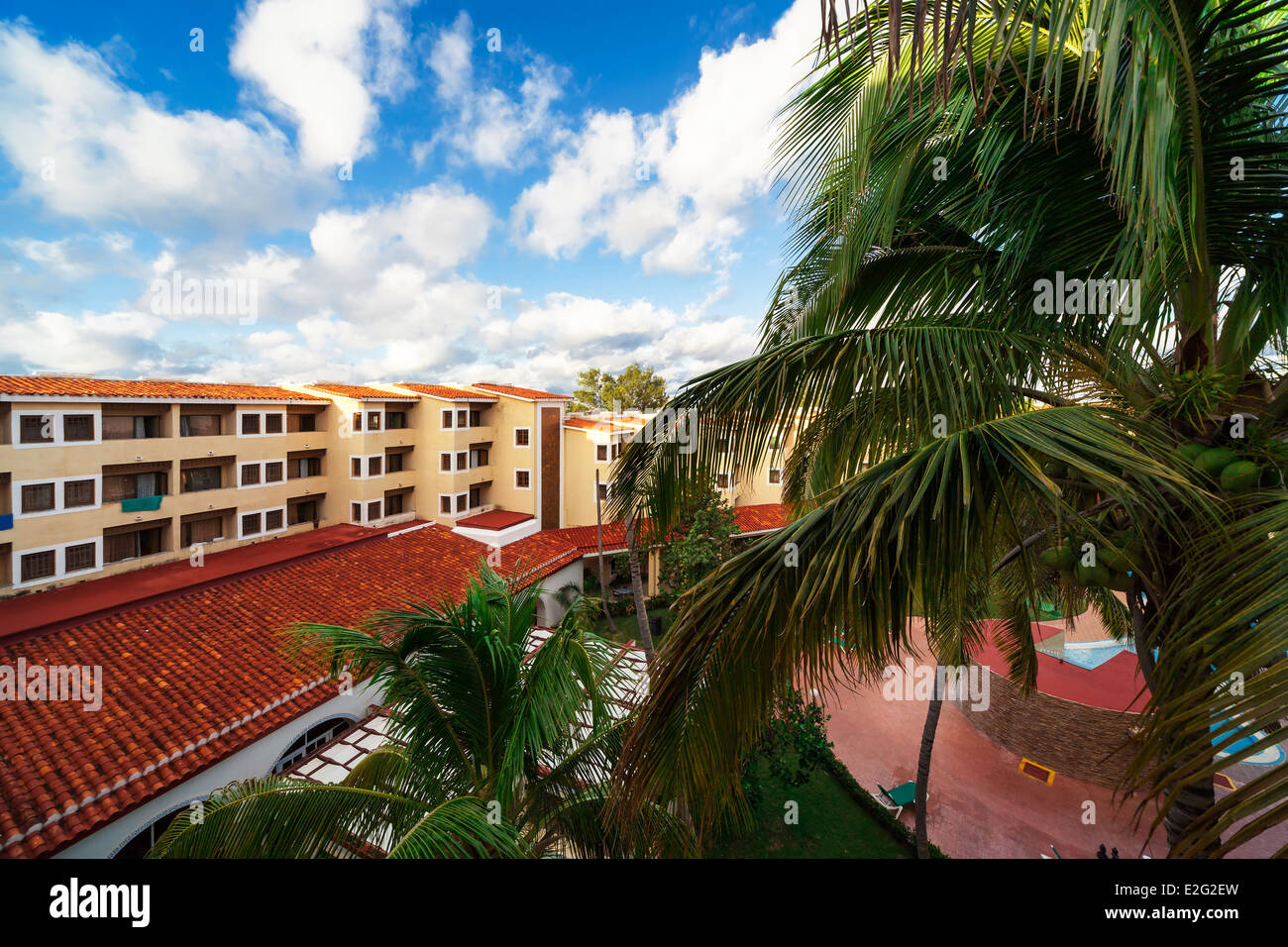 new hotel with a palm tree Stock Photo - Alamy