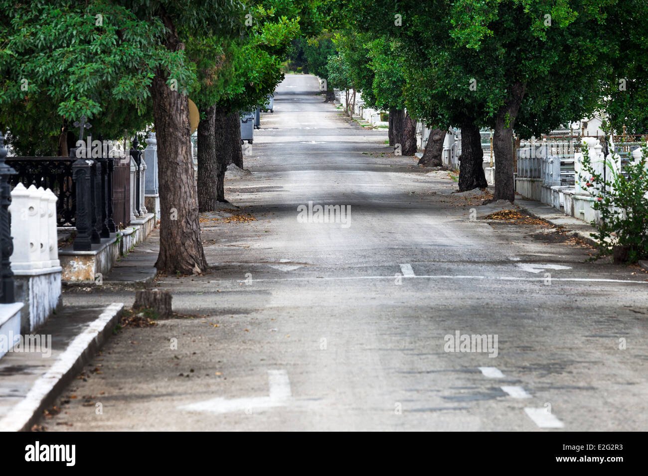 the road to the cemetery in the summer Stock Photo - Alamy