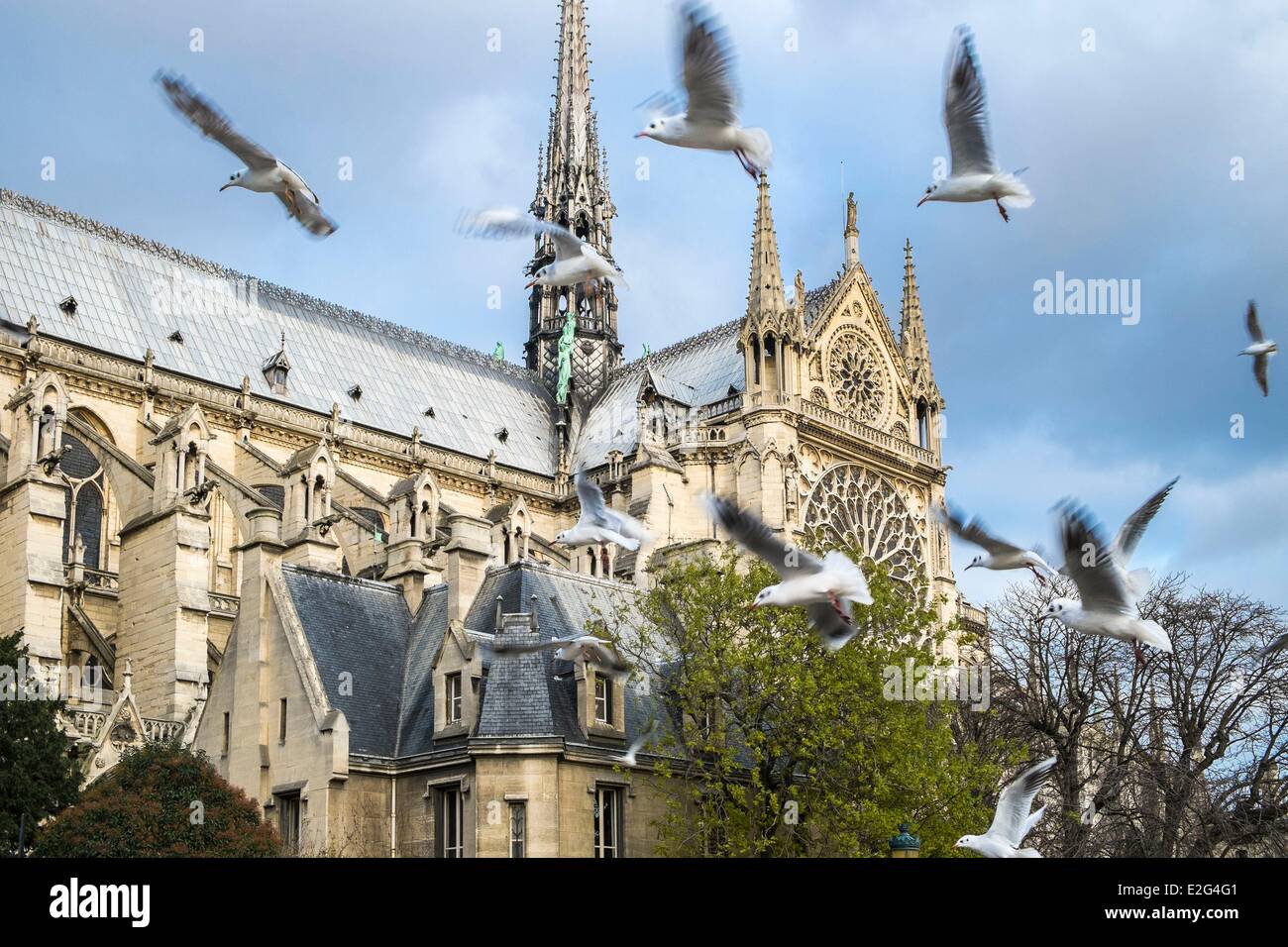 France Paris Seine river banks listed as World Heritage by UNESCO Notre ...