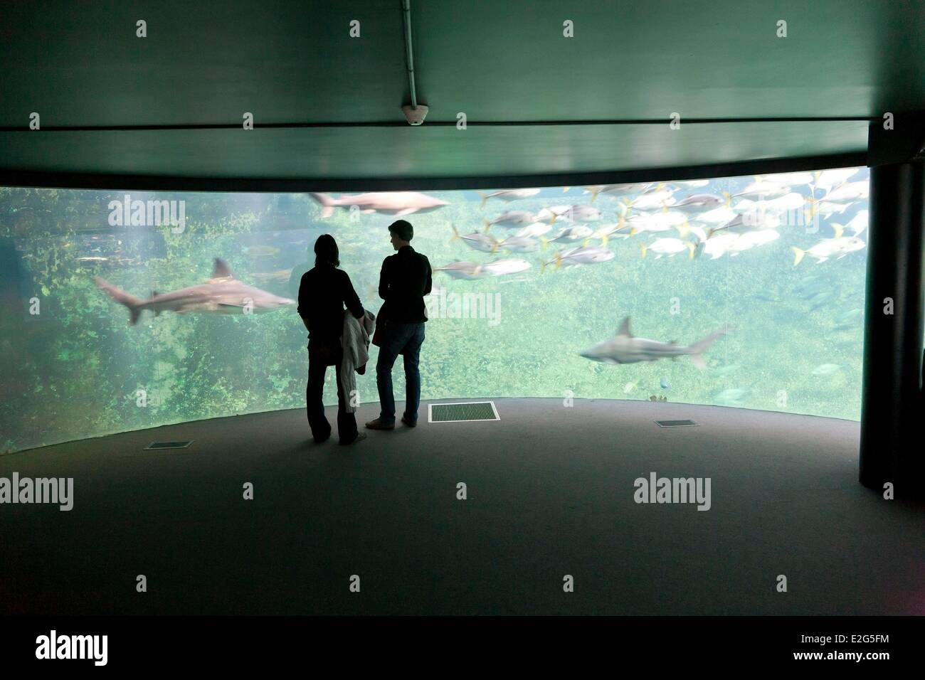 Nausica Le Plus Grand Aquarium D39europe Boulognesurmer