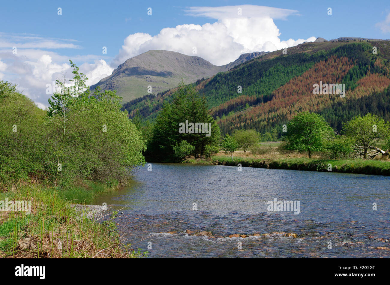 River Liza with Pillar Mountain & Ling Mell Plantations, Ennerdale ...