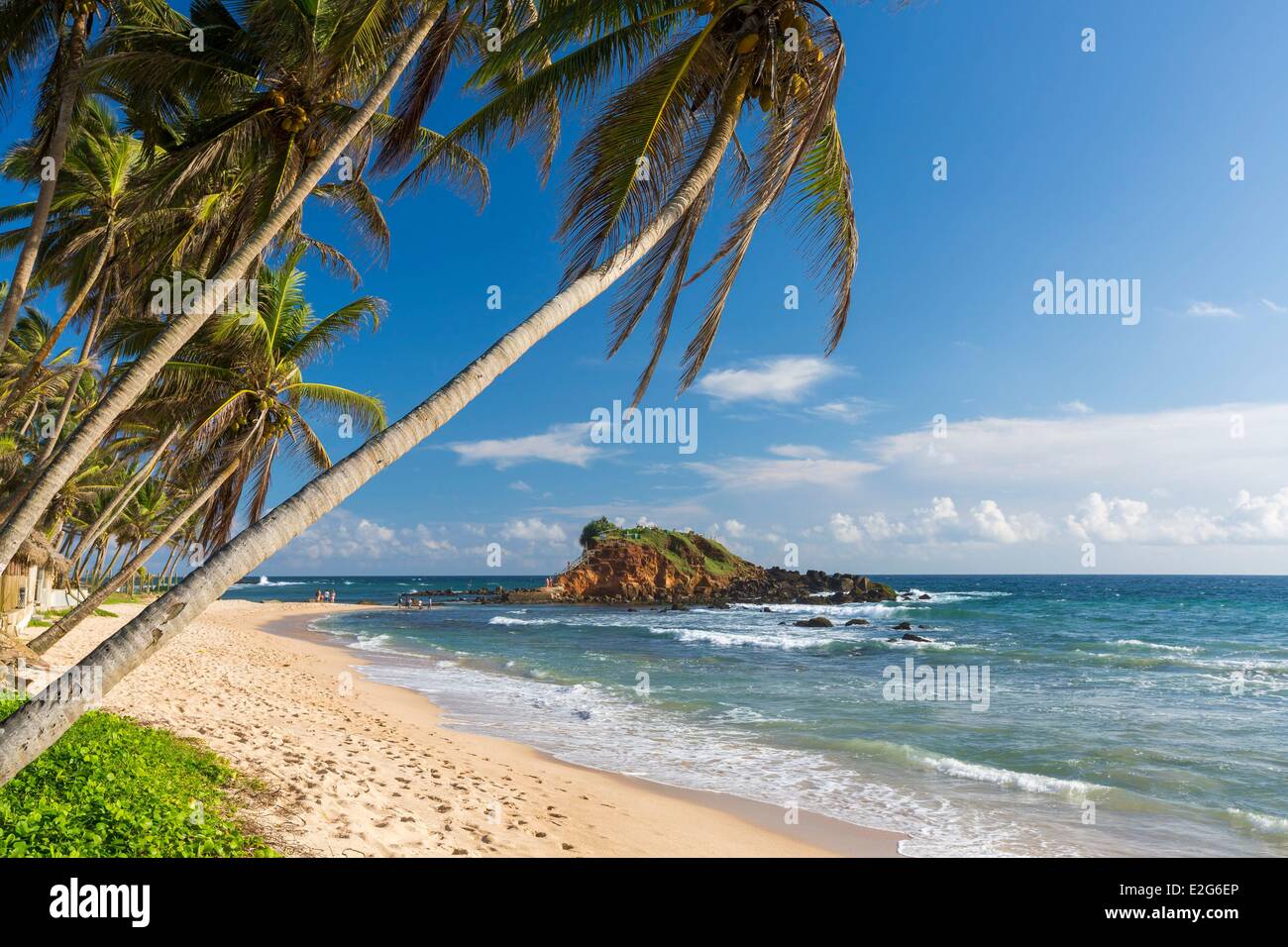 Sri Lanka Southern province Matara district Mirissa beach Stock Photo ...