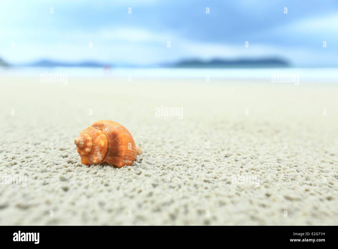 Malaysia Kedah state Andaman Sea Langkawi Island Pantai Cenang seashell ...
