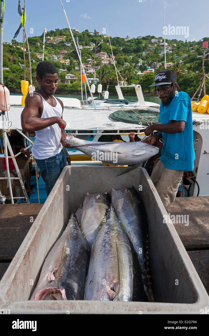 Grenada island grand mal bay hi-res stock photography and images - Alamy