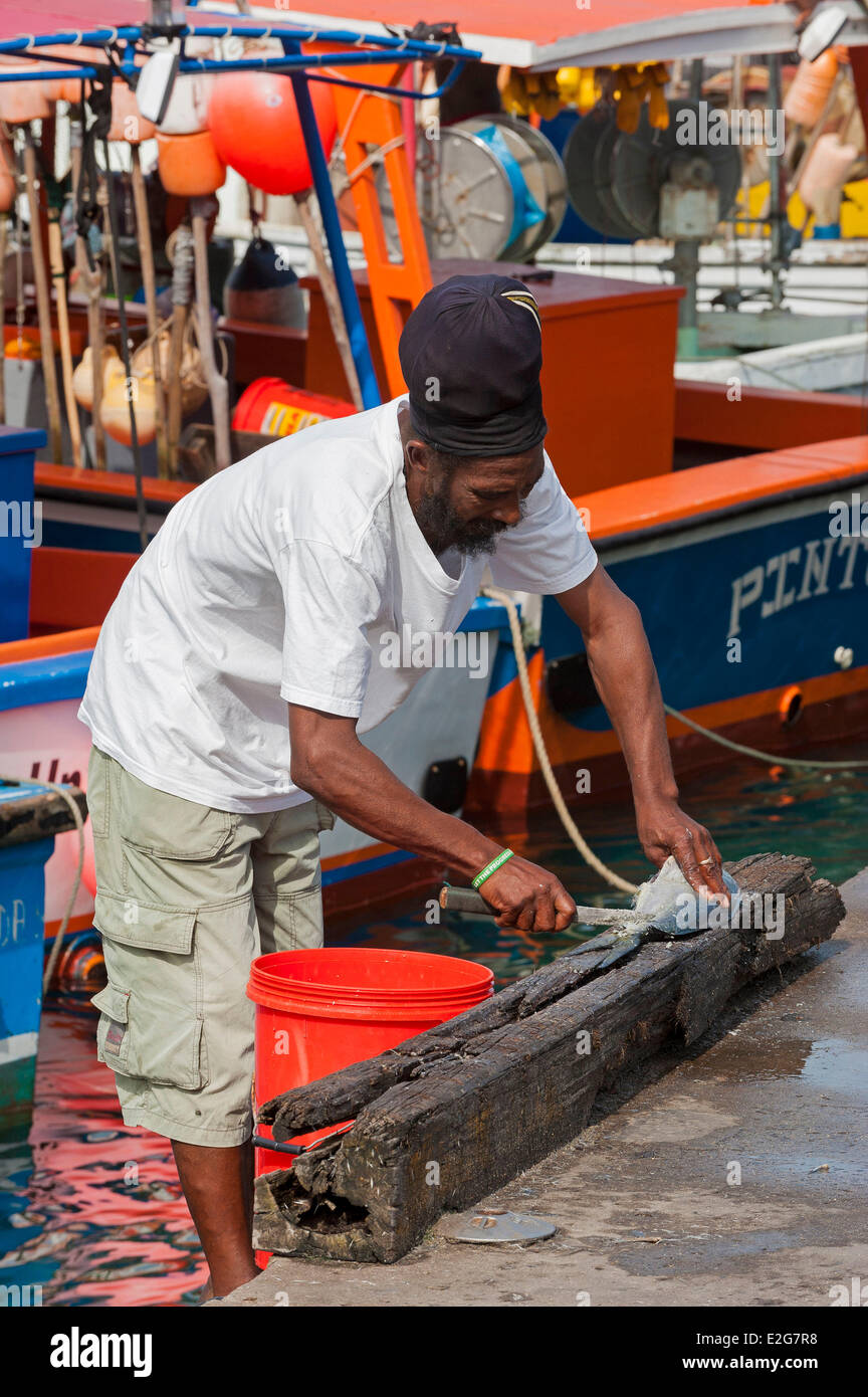 Grenada Island Fishing boats at Grand Mal Bay Stock Photo - Alamy