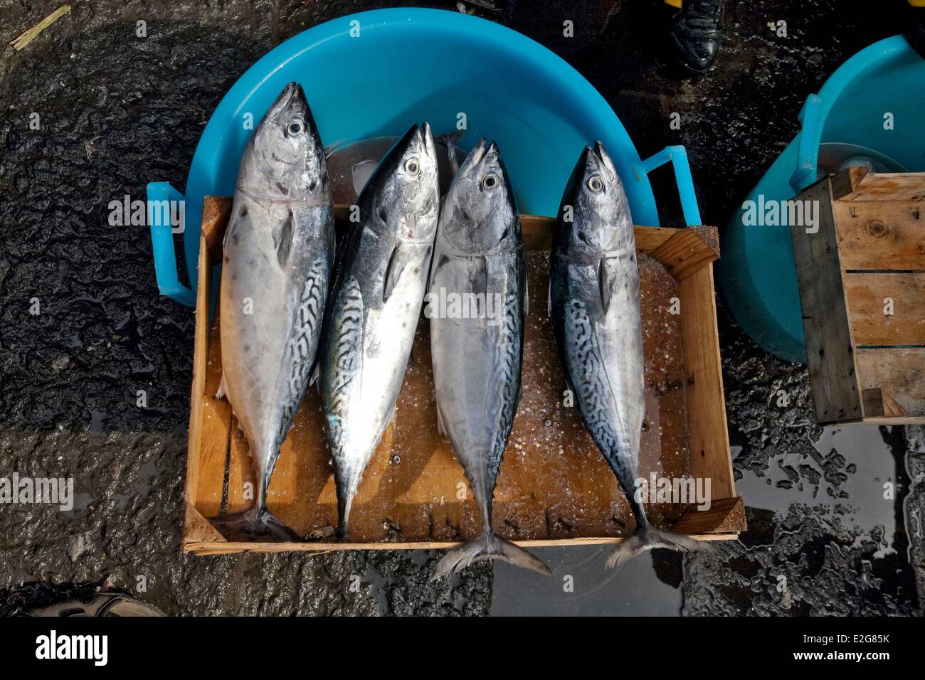 Italy Sicily Catania fish market Stock Photo - Alamy