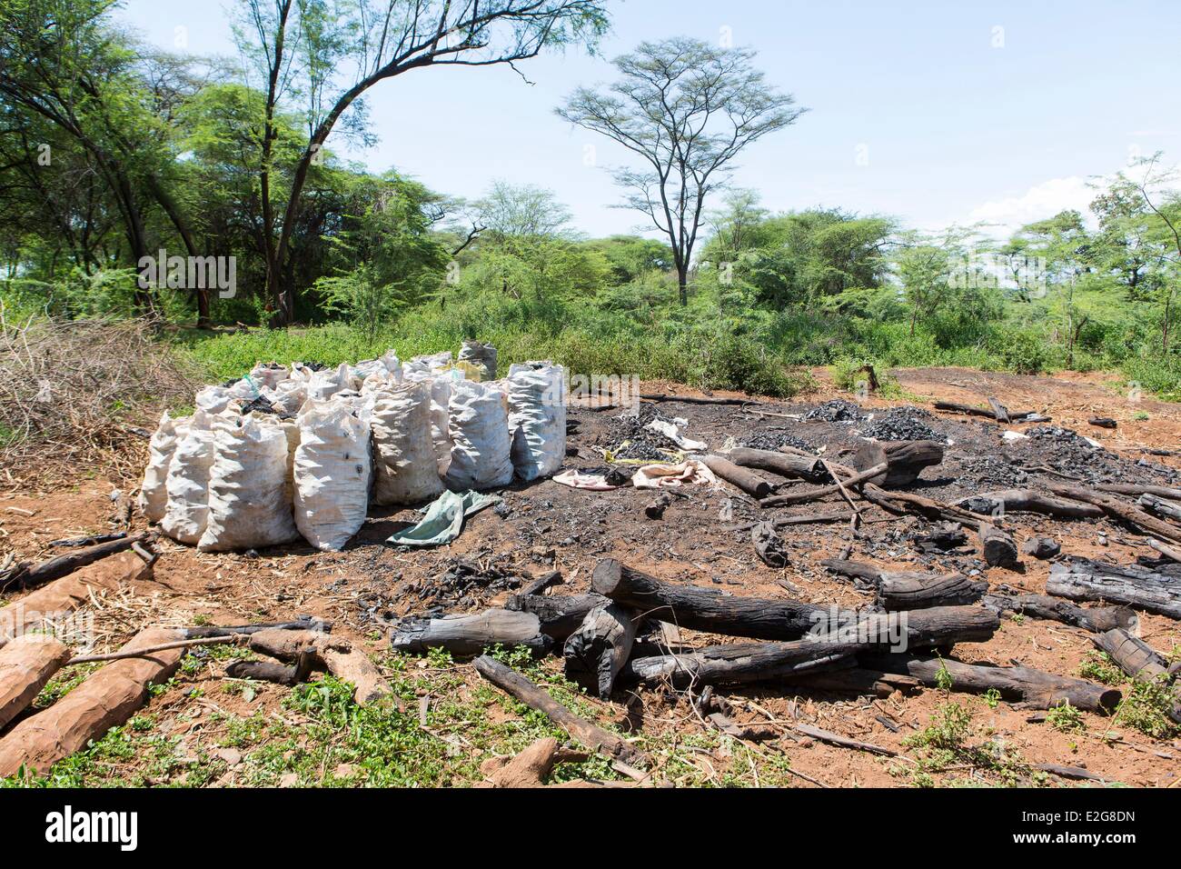 Kenya lake Bogoria bags of charcoal deforestation Stock Photo - Alamy