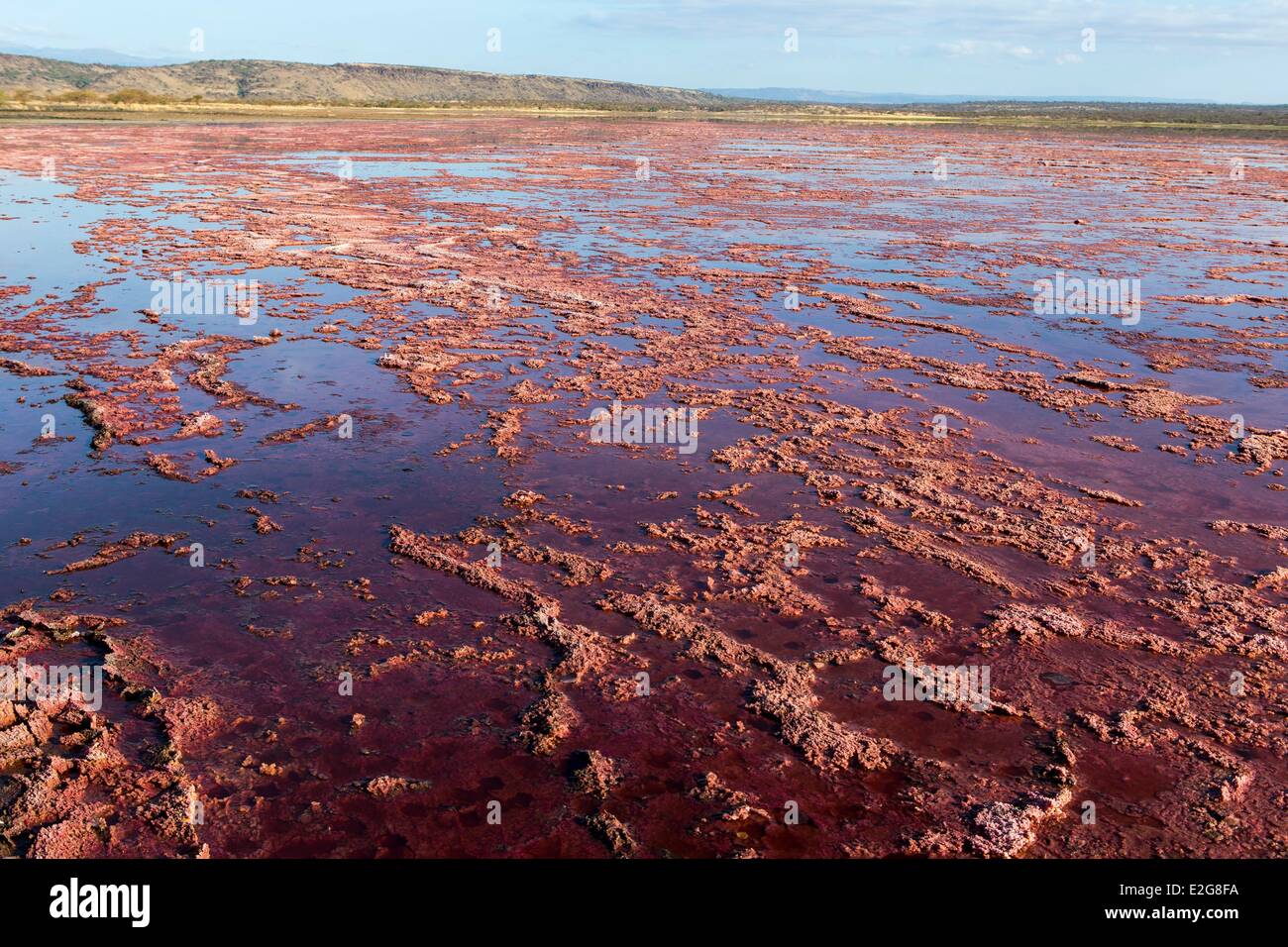 Kenya lake Magadi soda Stock Photo - Alamy