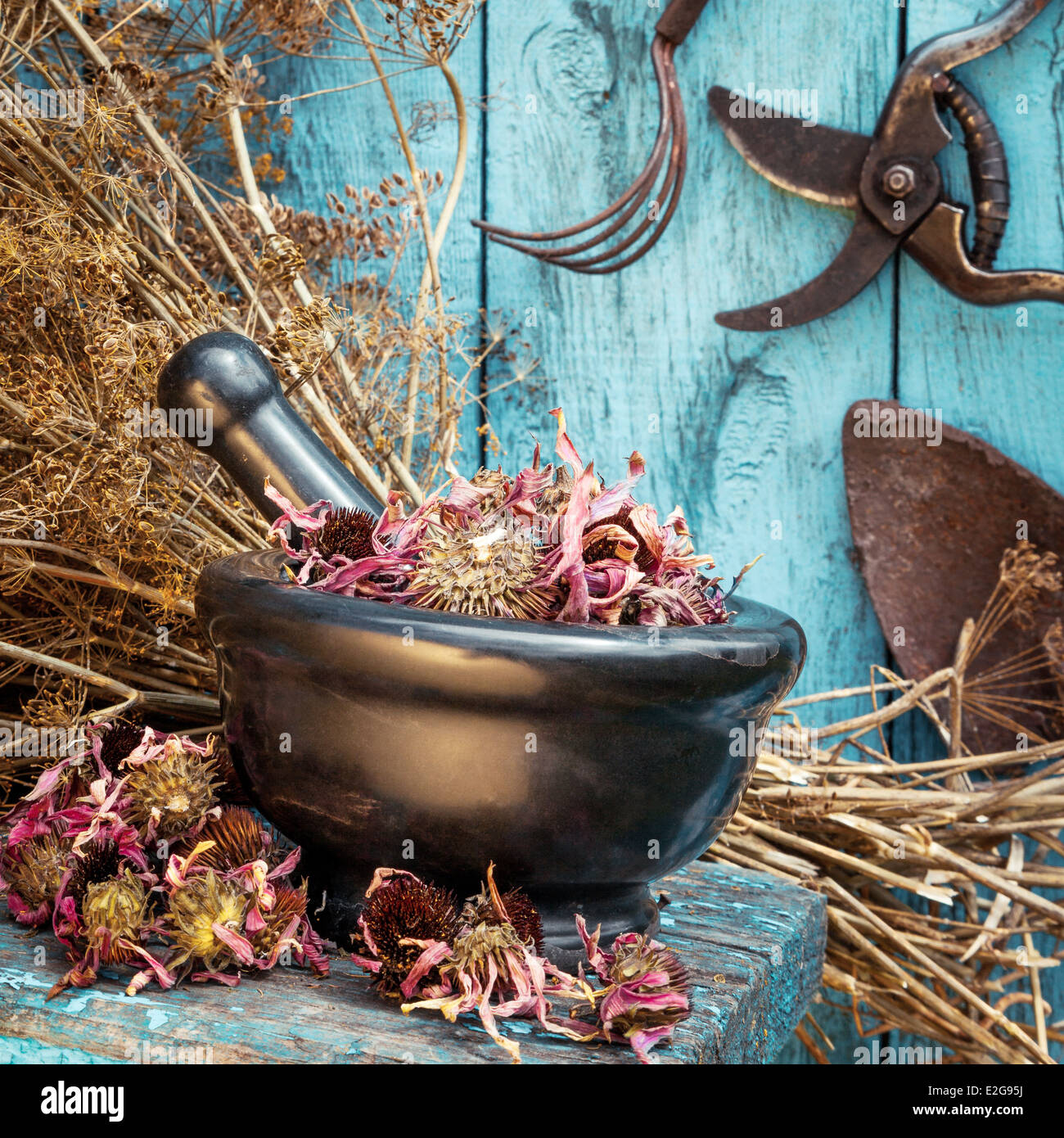 Dried mortar hi-res stock photography and images - Alamy