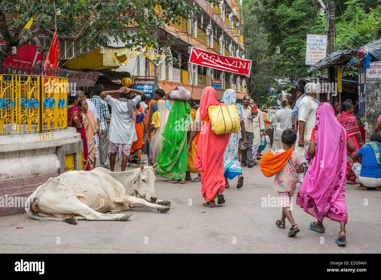 India Uttarakhand State Rishikesh the world capital of Yoga on the ...