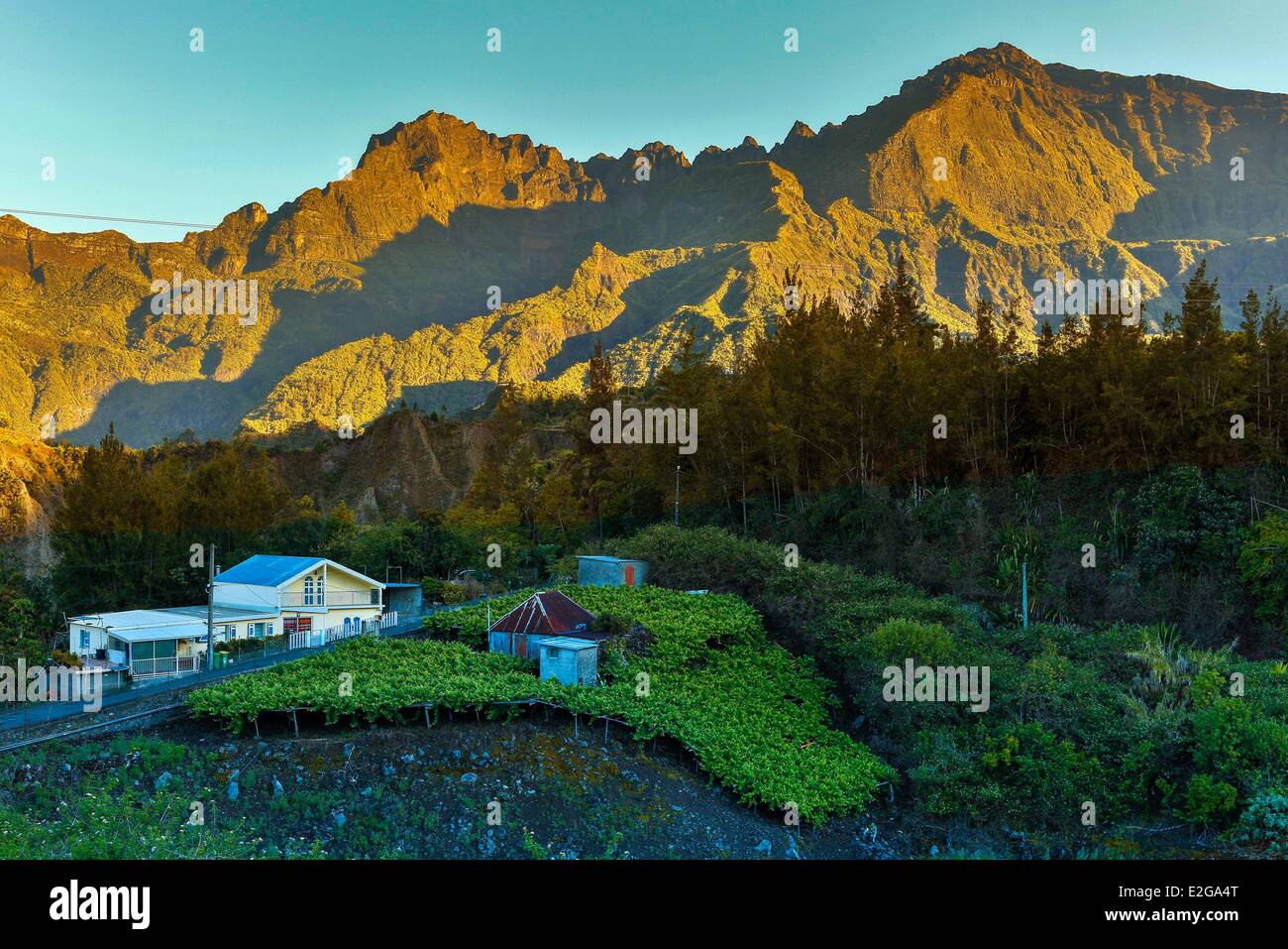 France Reunion island (French overseas department) Parc National de La ...