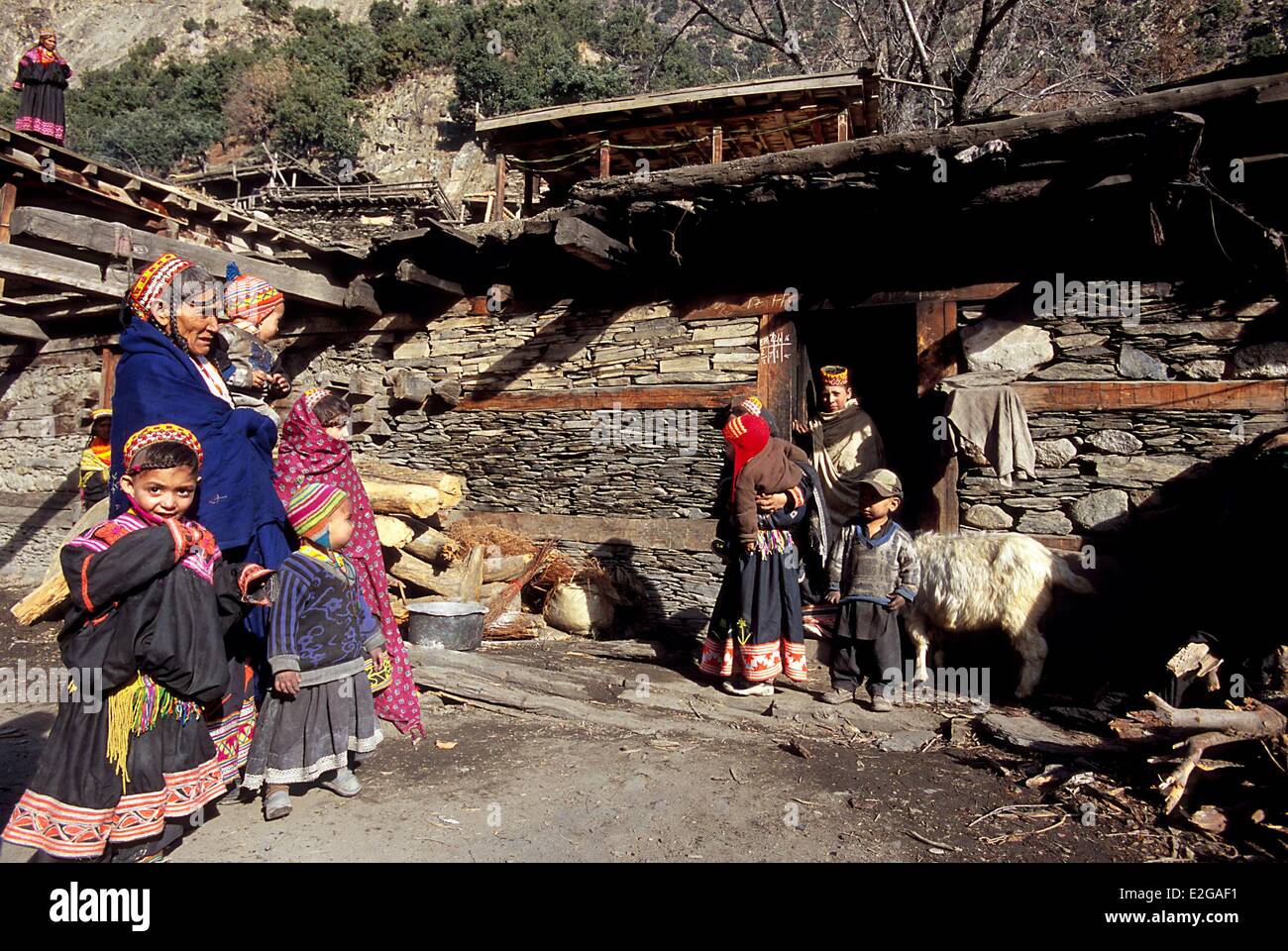 Pakistan Khyber Pakhtunkhwa Kalash valleys Bumburet valley Krakal ...