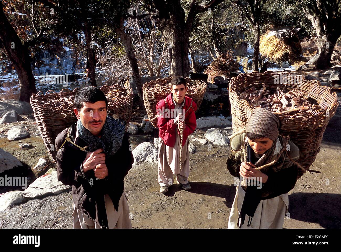 Pakistan Khyber Pakhtunkhwa Kalash valleys Rumbur valley Kalash ...
