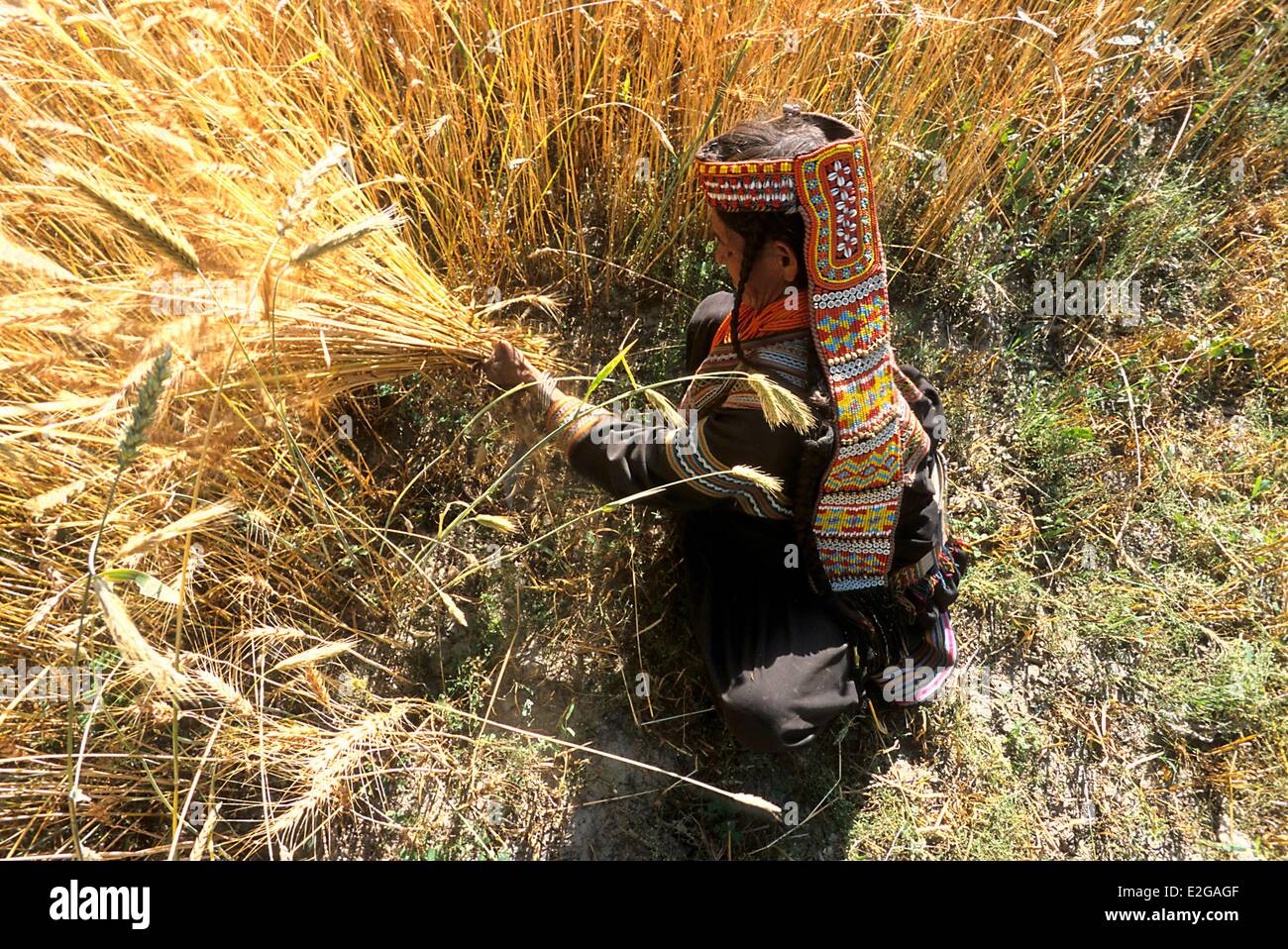 Pakistan Khyber Pakhtunkhwa Kalash valleys Bumburet valley Kalash woman ...