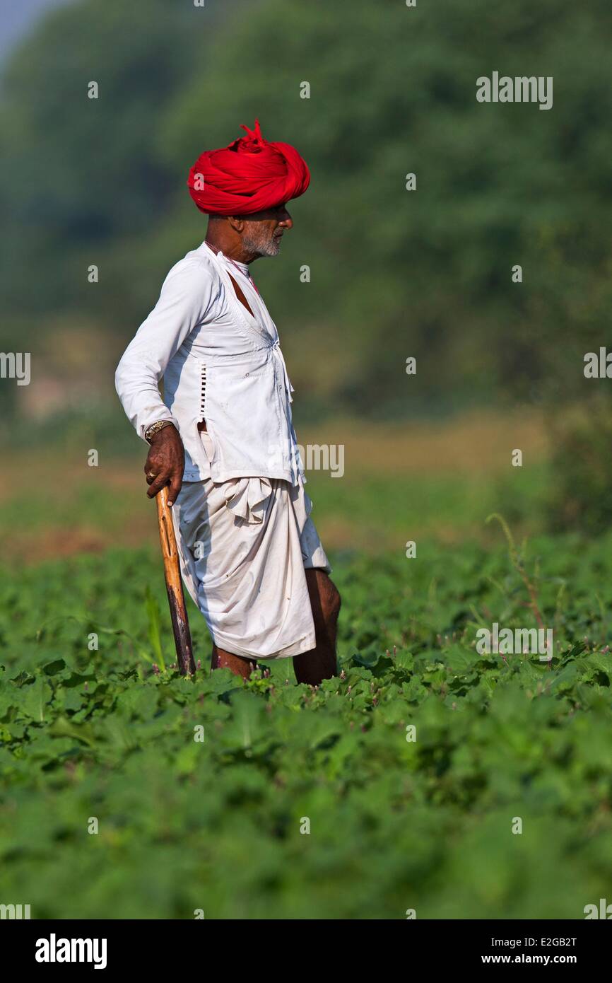 Bera rajasthan hi-res stock photography and images - Alamy