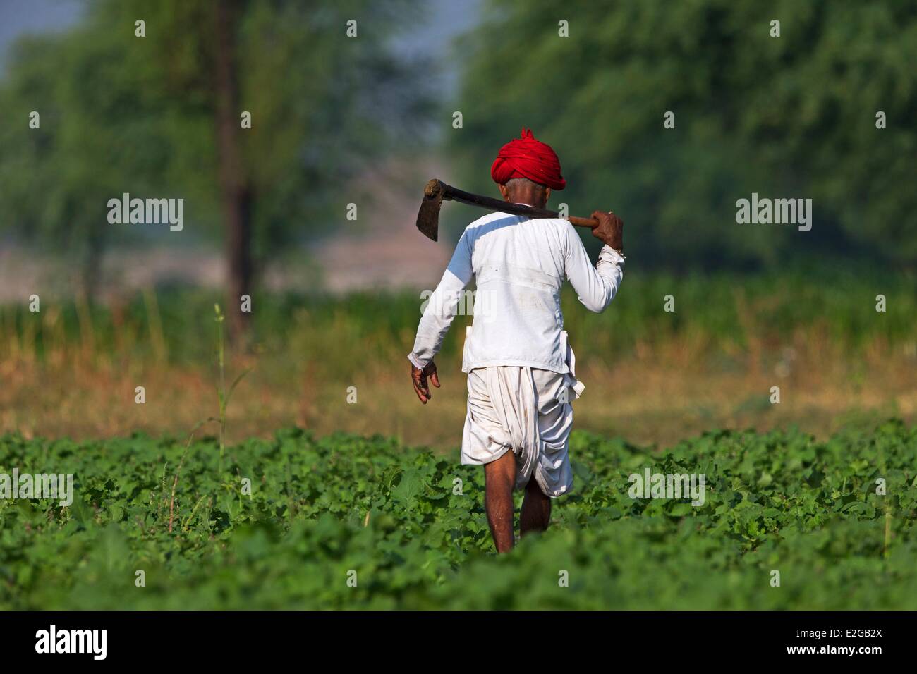 Bera rajasthan hi-res stock photography and images - Alamy