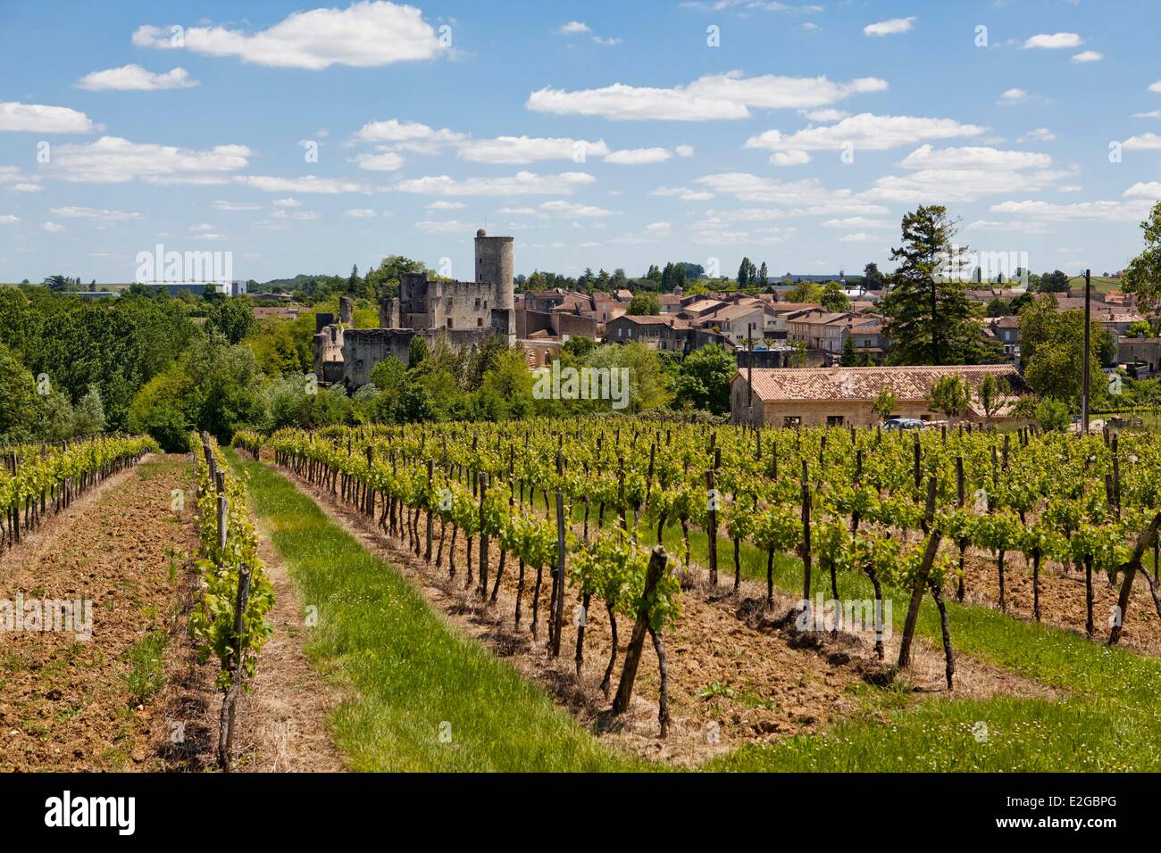 Rauzan france hi-res stock photography and images - Alamy